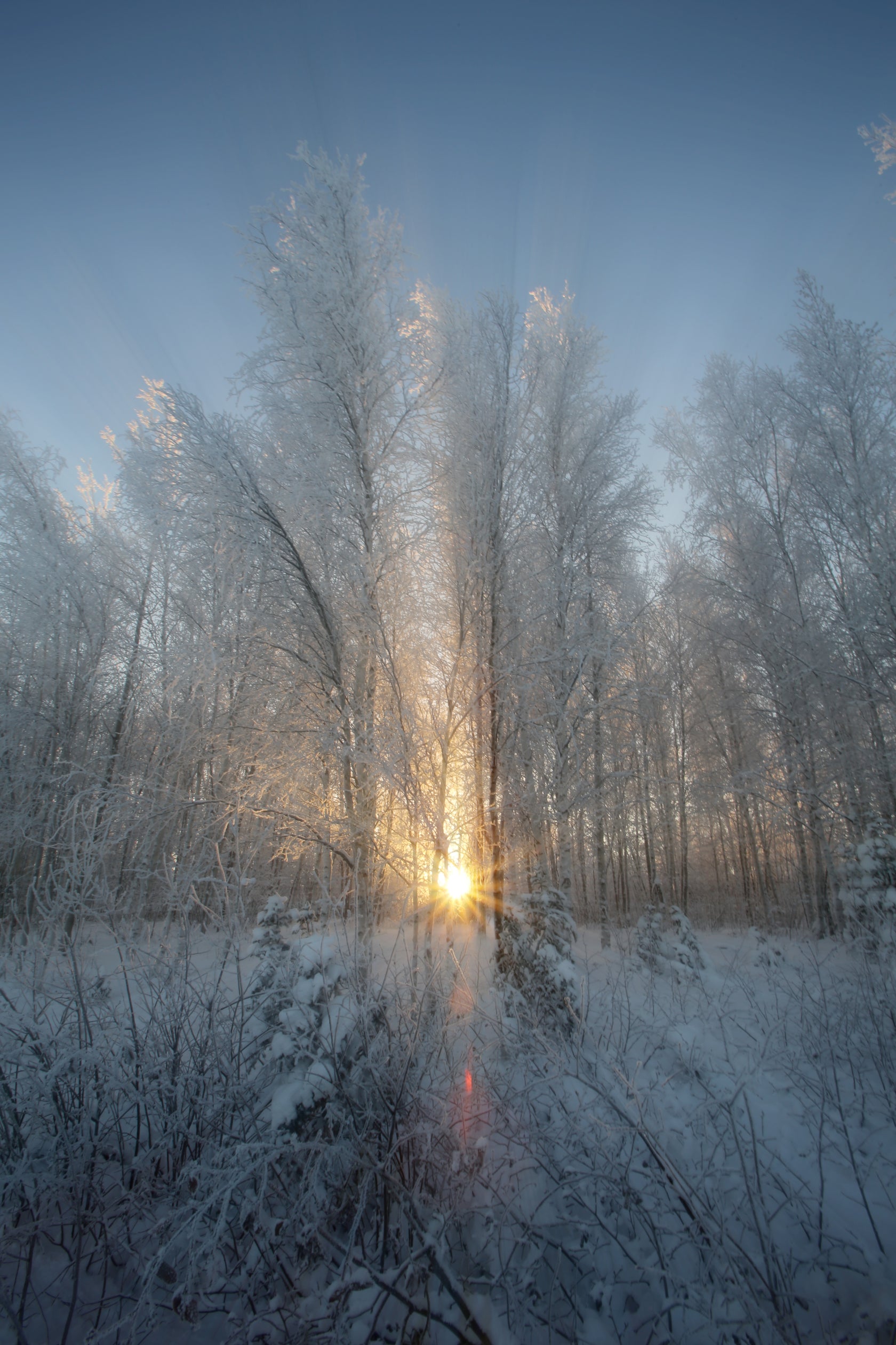 Ray of Light – Robbie Craig's Northern Projects